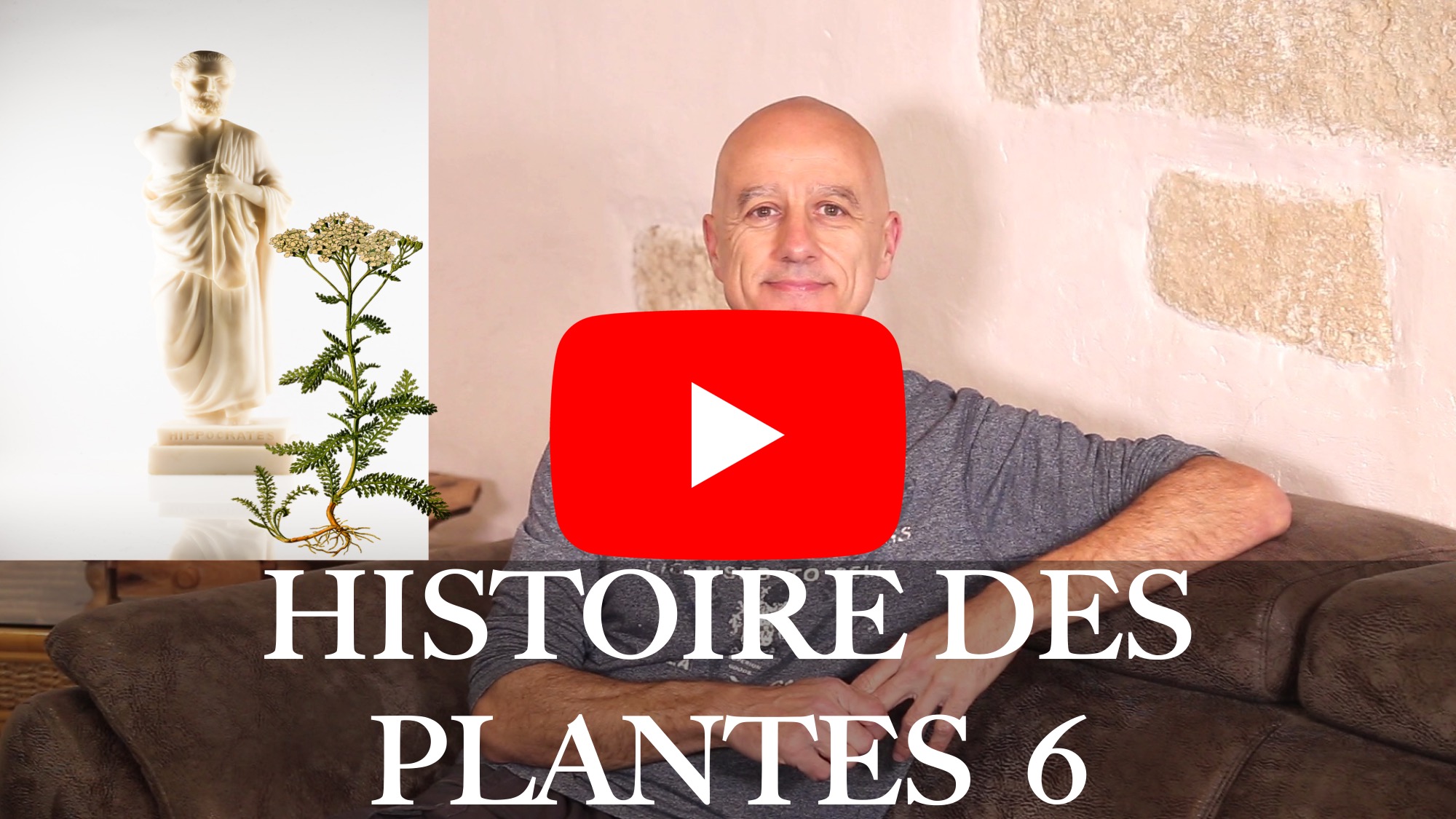 Histoire des plantes 6 : le choc des deux écoles